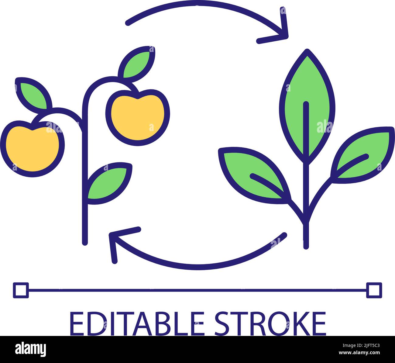 Succession planting RGB color icon Stock Vector Image & Art - Alamy