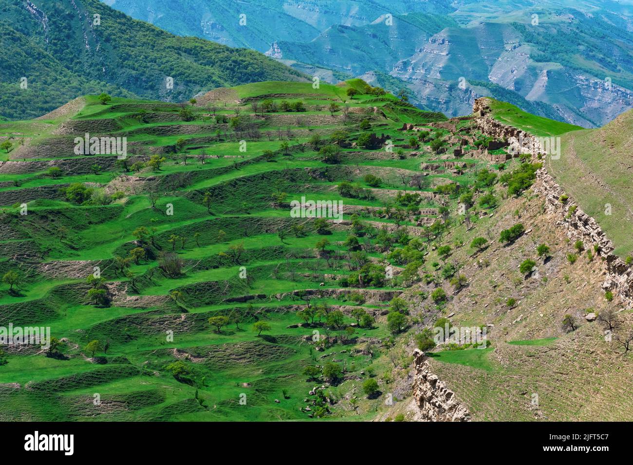 mountain landscape with green agricultural terraces on the slopes Stock ...