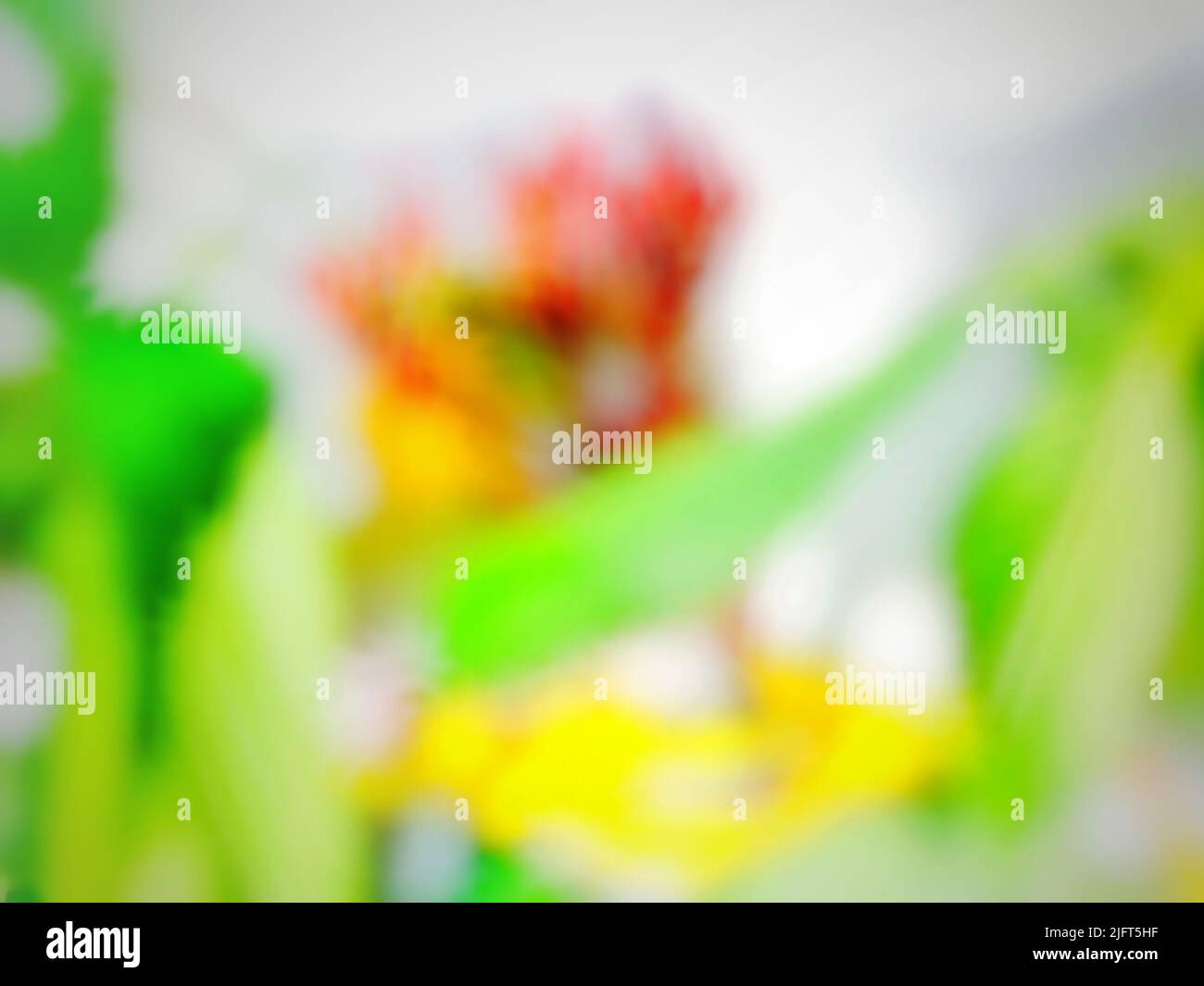 Tropical flower wallpaper hi-res stock photography and images - Alamy