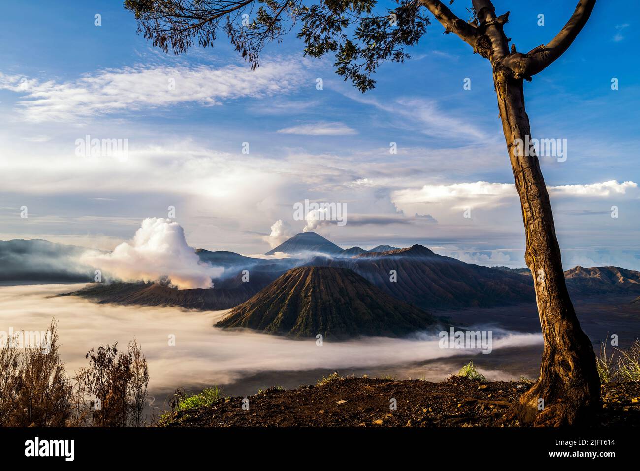 Mount bromo view hi-res stock photography and images - Alamy