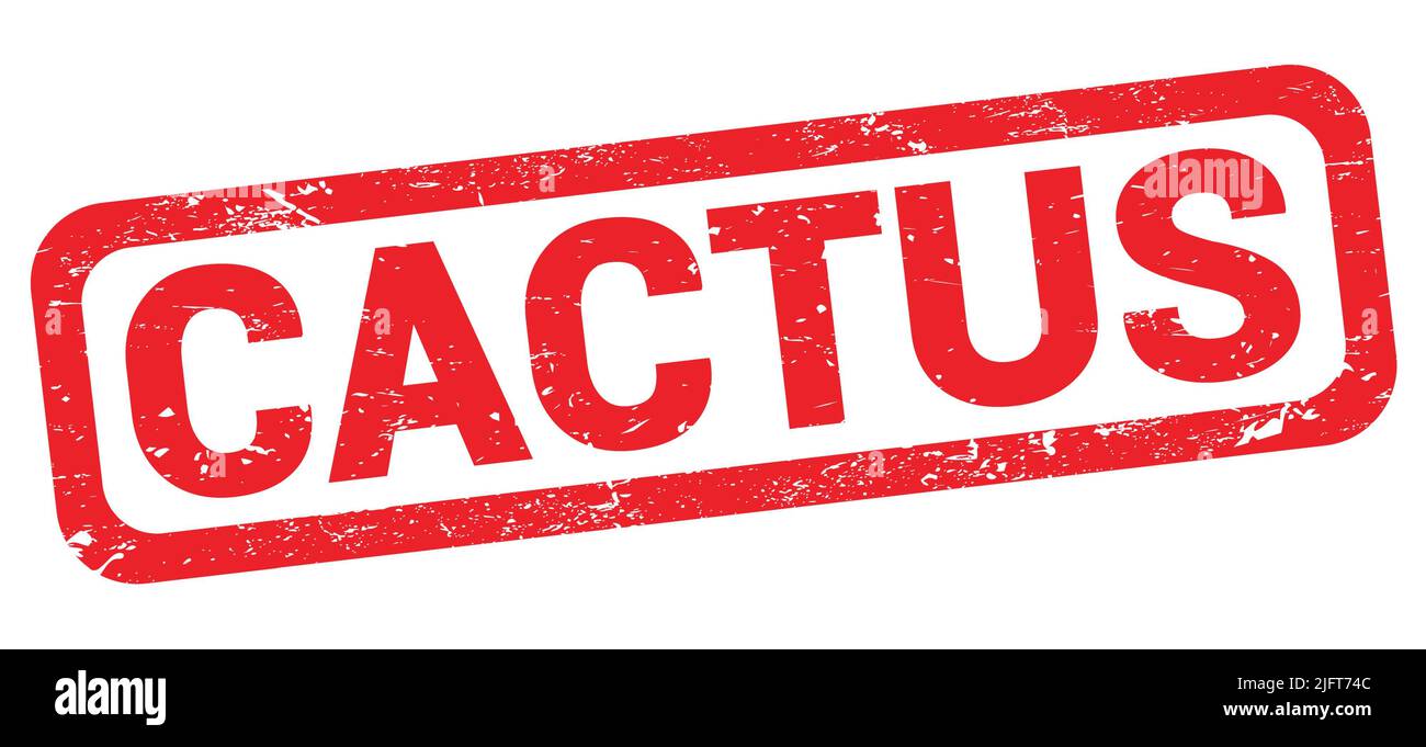 CACTUS text written on red rectangle stamp sign Stock Photo - Alamy