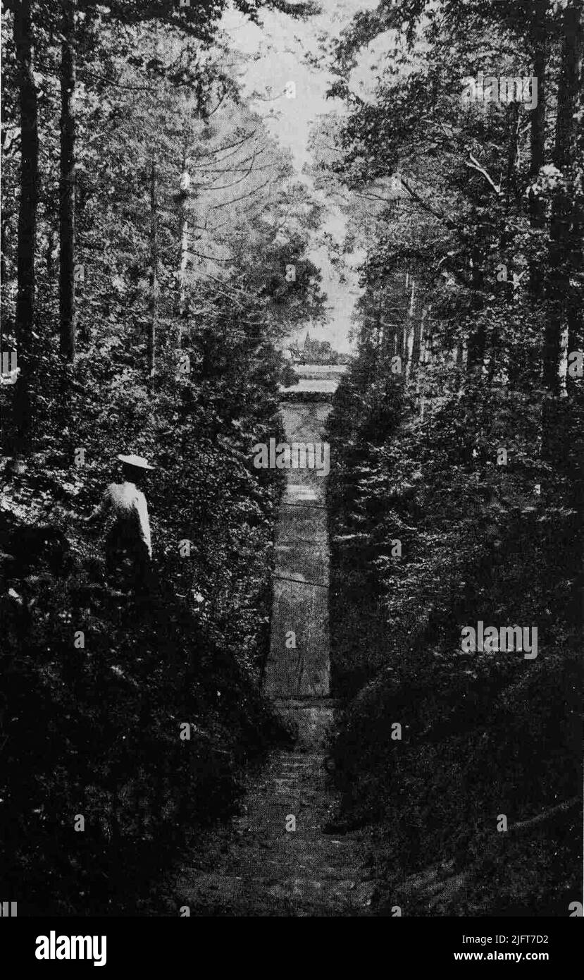 Narrow forest path on steep slope carved in the forest of Dommer with ...