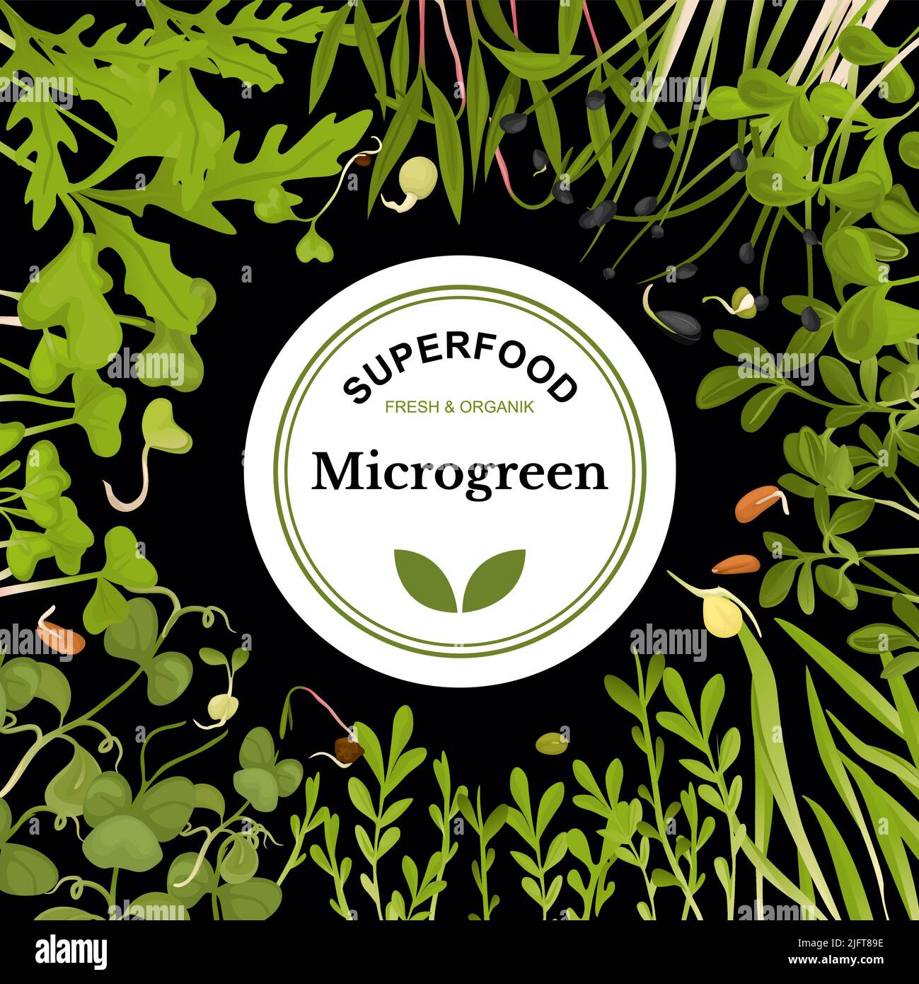 Colored microgreen frame with label in the middle and superfood fresh ...