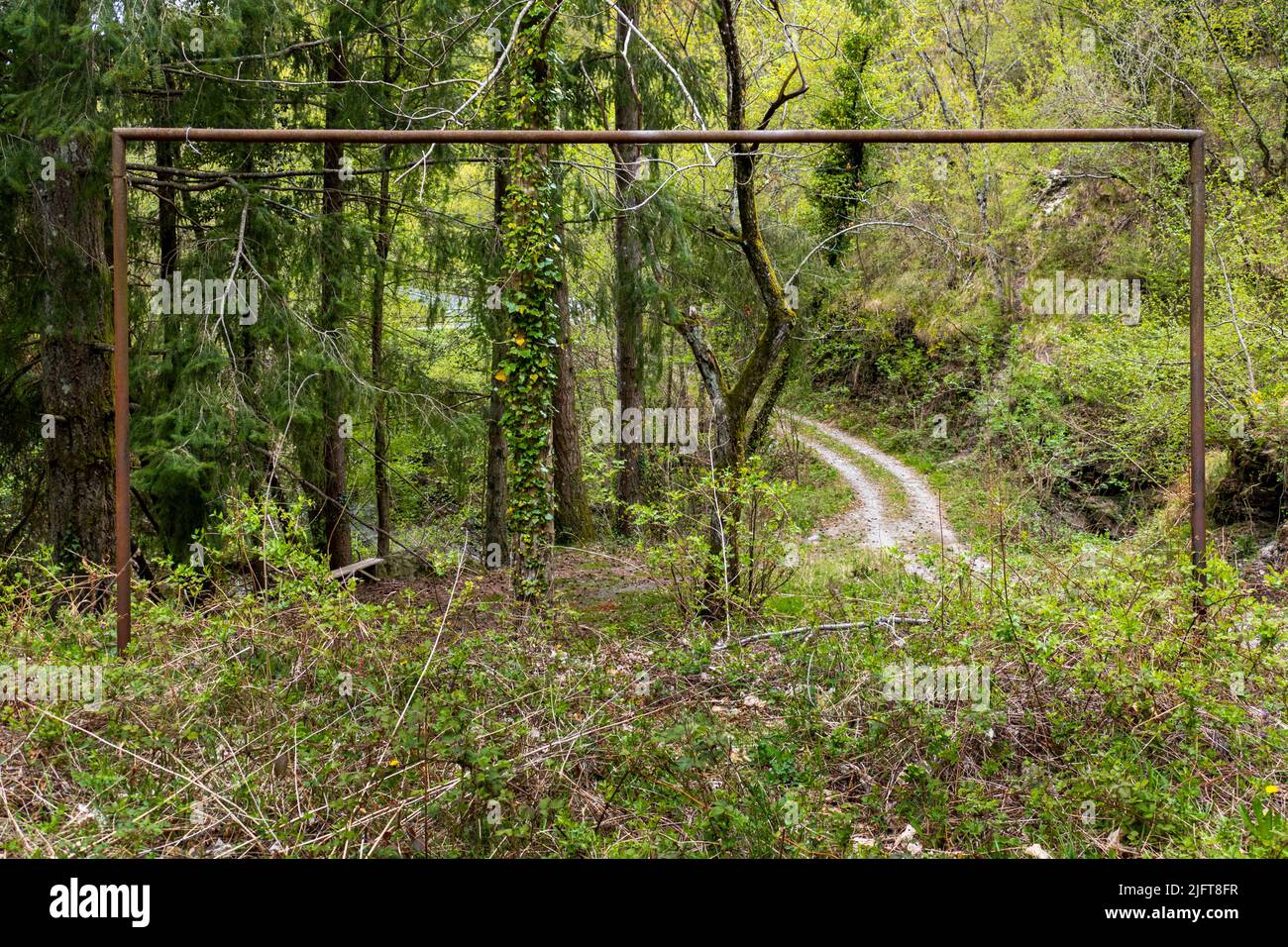 The rusty metal poles in the green forest Stock Photo - Alamy