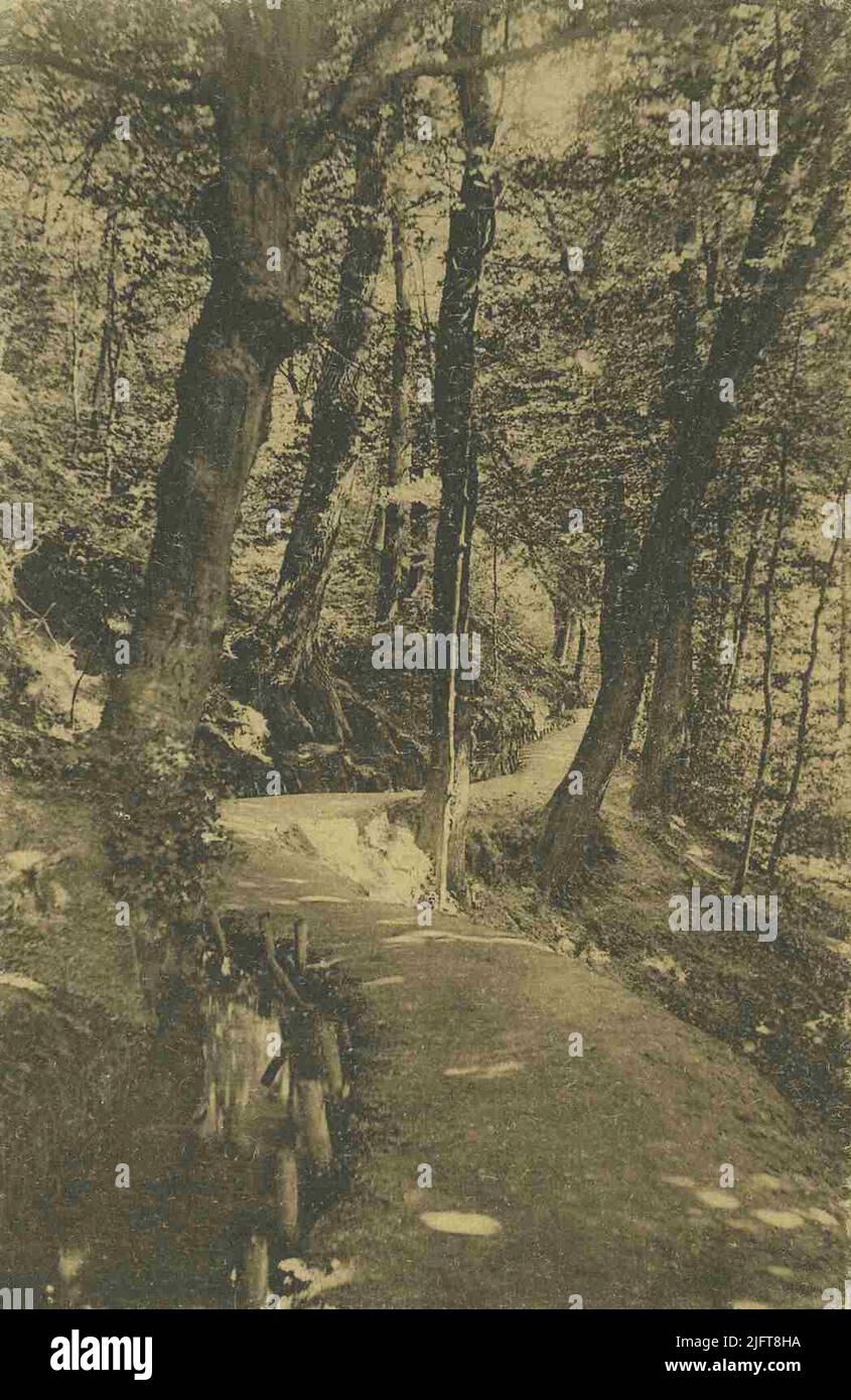 Plasmolen hi-res stock photography and images - Alamy