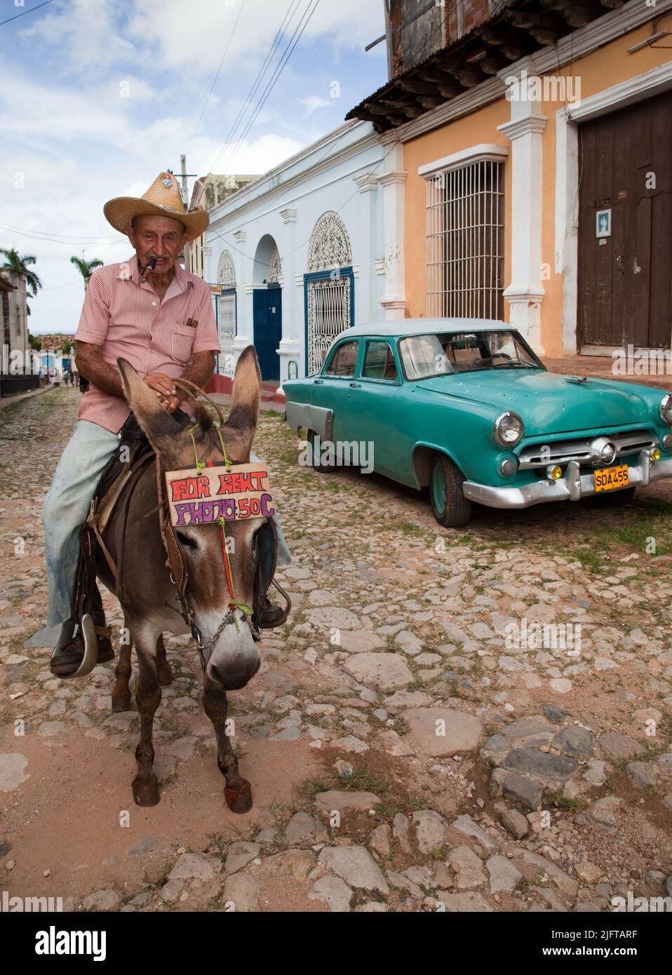 Male donkey adult hi-res stock photography and images - Alamy