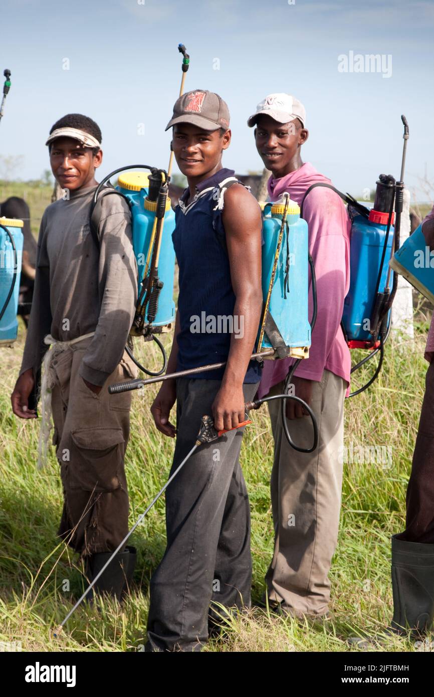 Insecticide spray caribbean hi-res stock photography and images - Alamy