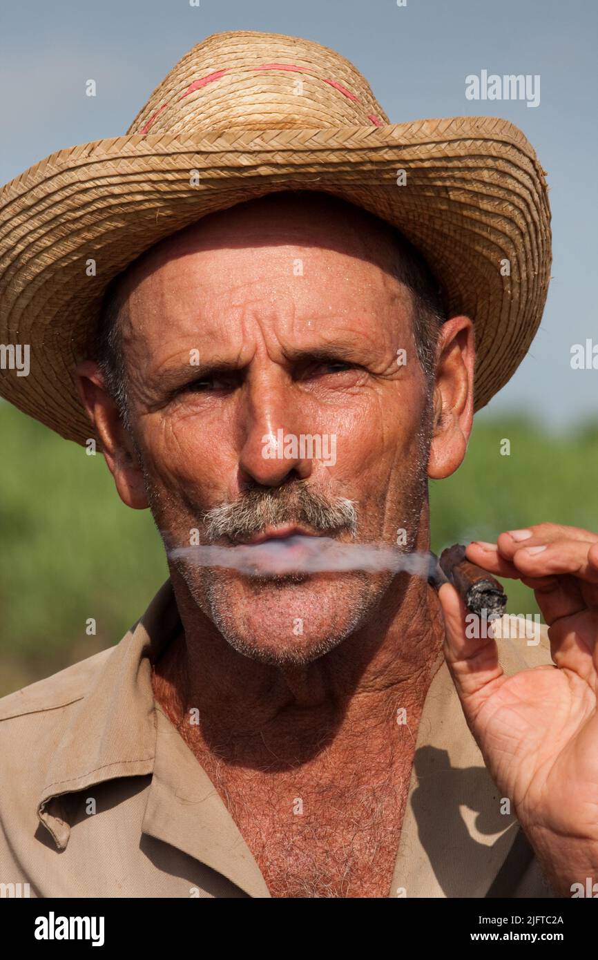 Sugar cane plantation portrait hi-res stock photography and images - Alamy