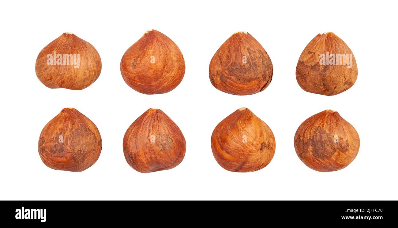 Hazelnut group Cut Out Stock Images & Pictures - Alamy