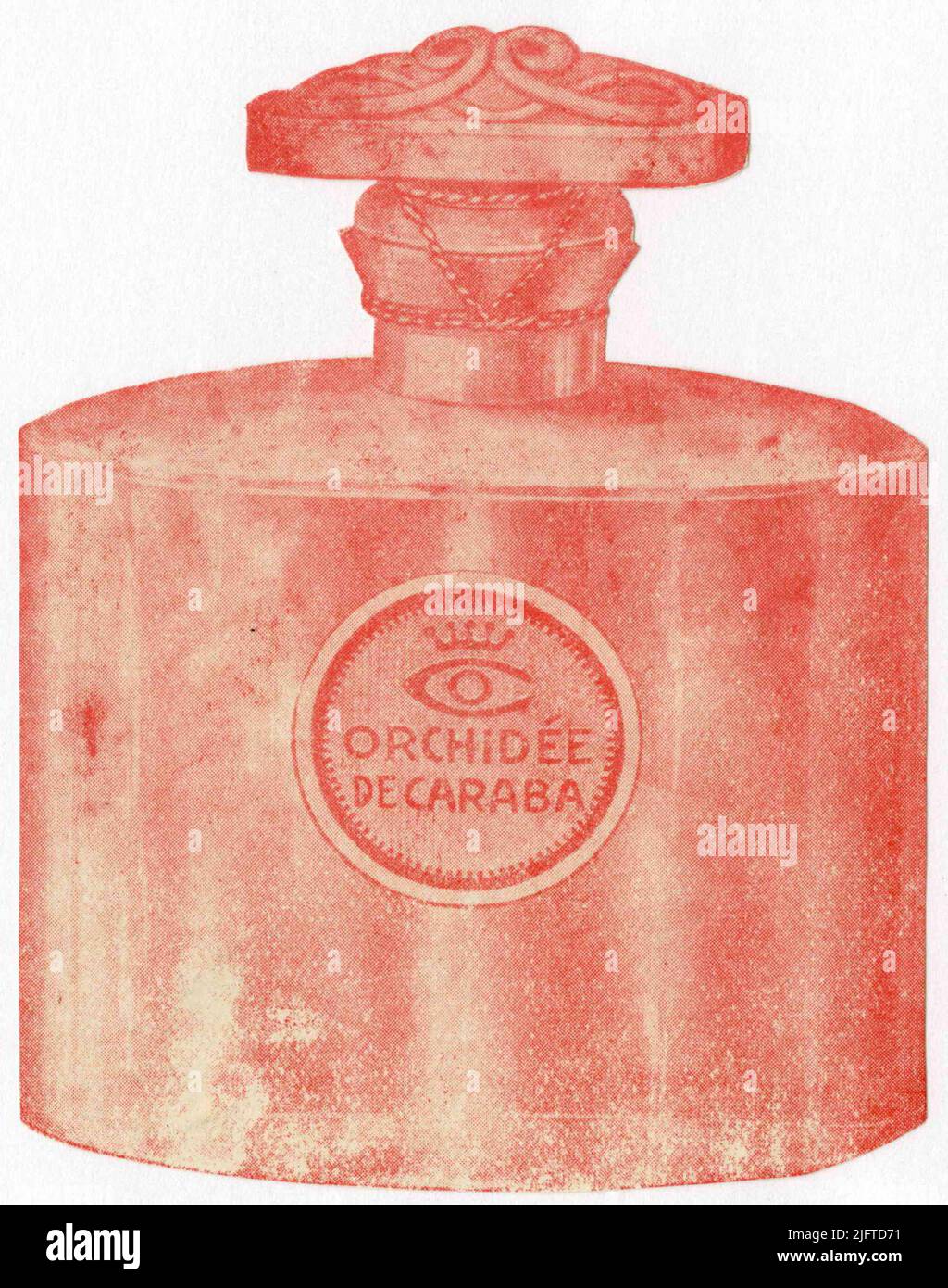 Native orchid species Cut Out Stock Images & Pictures - Alamy