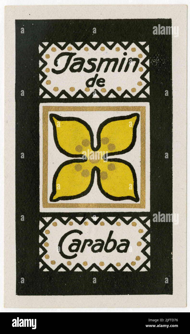 Jasmin de Caraba Stock Photo - Alamy