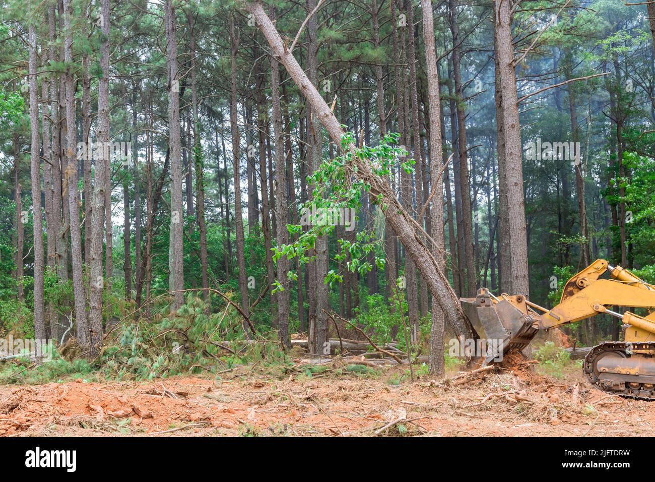 Purification of land for the construction of houses in the residential ...