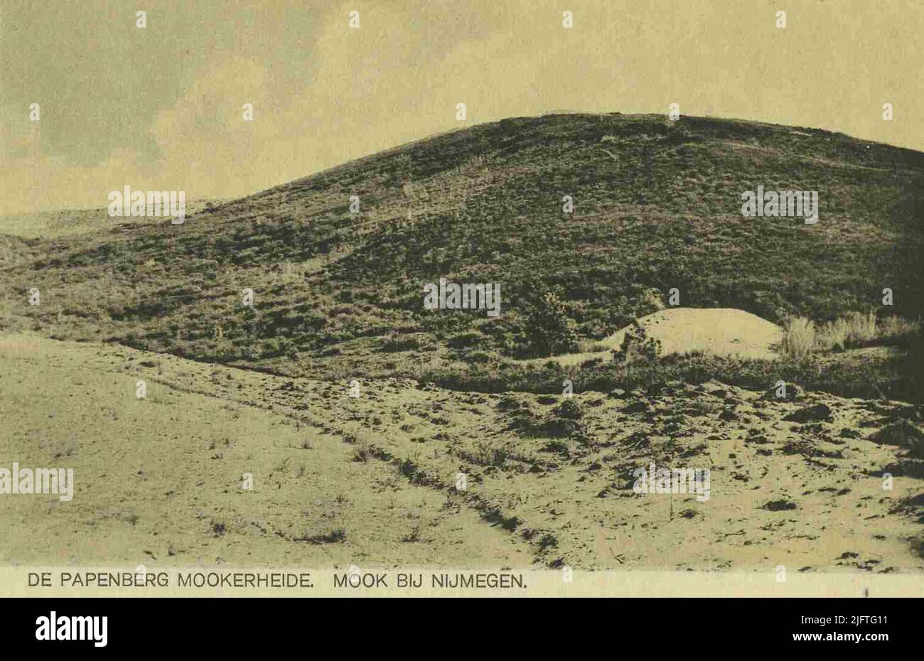 Look at the ungrown Papenberg 70 meters above NAP Stock Photo - Alamy