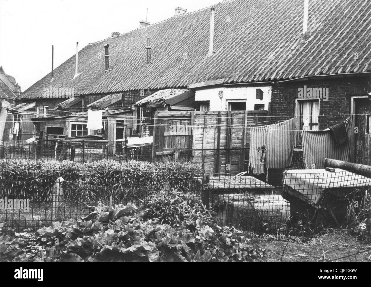 The rear facades of a number of workers' houses Stock Photo - Alamy