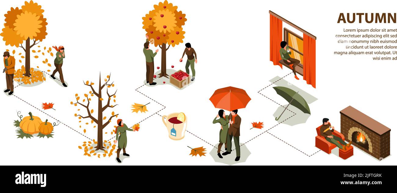 Autumn isometric infographics illustrated tree with fallen leaves ...