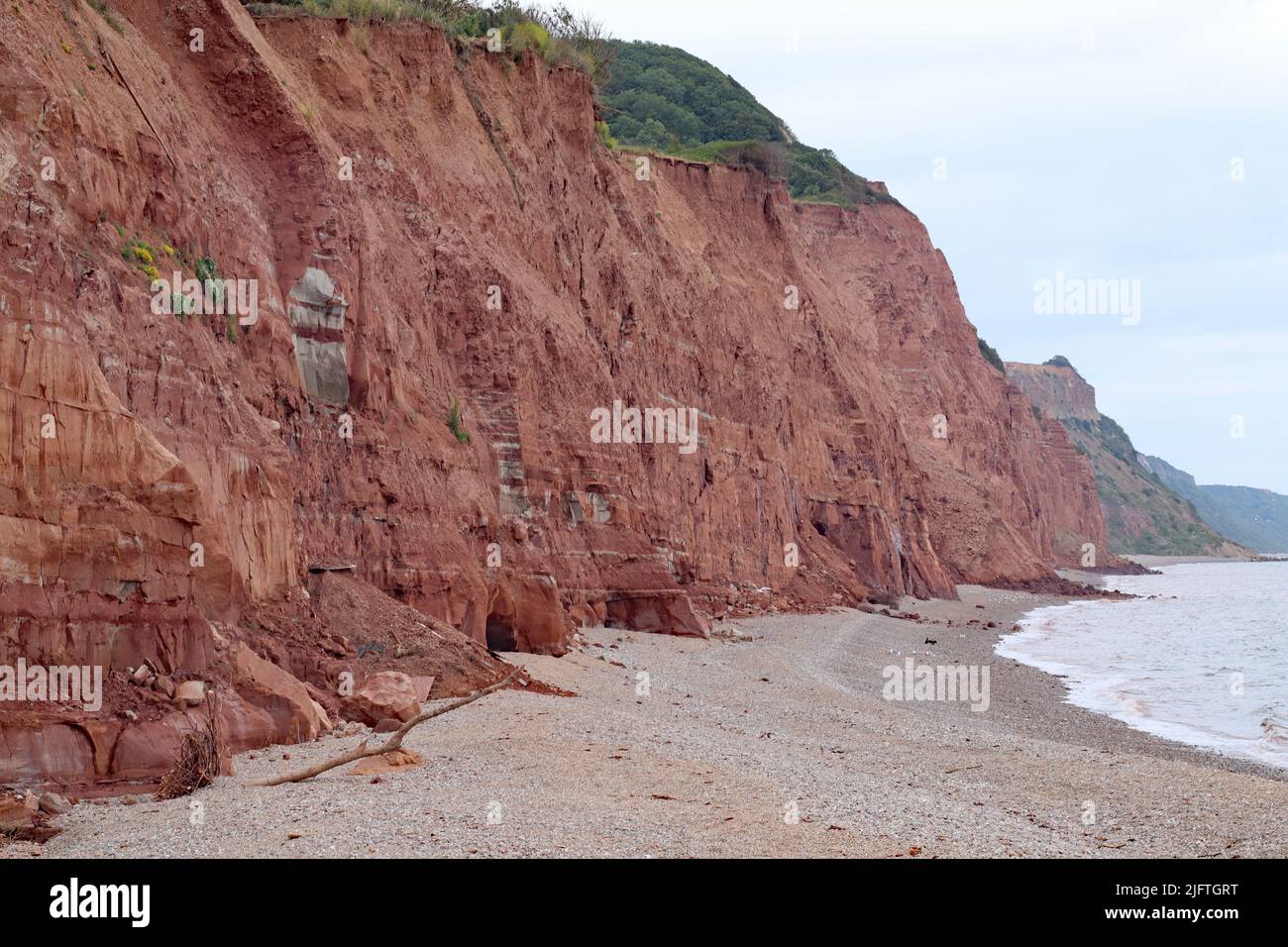 The red Jurassic cliffs by the east beach at Sidmouth, England. The ...