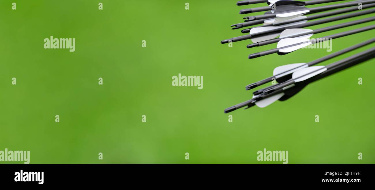 Archery arrows on green background. Professional sport concept ...