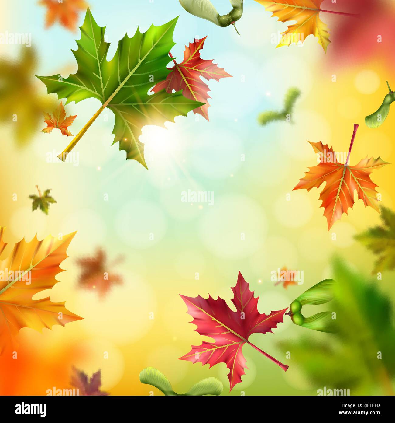 Realistic colorful maple leaves and seeds falling on blurred background ...