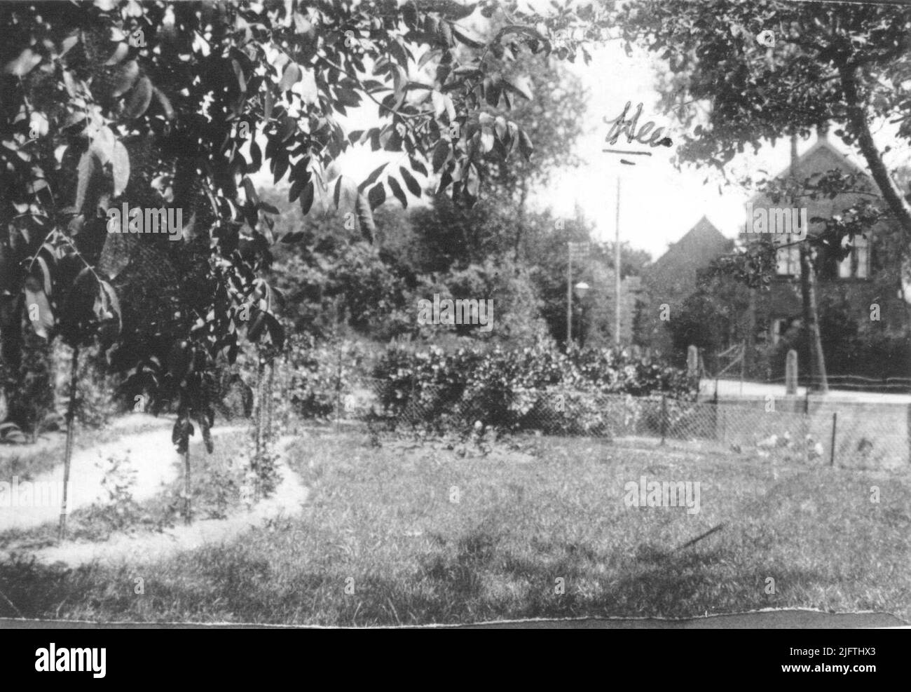 Urban garden planting Black and White Stock Photos & Images - Alamy