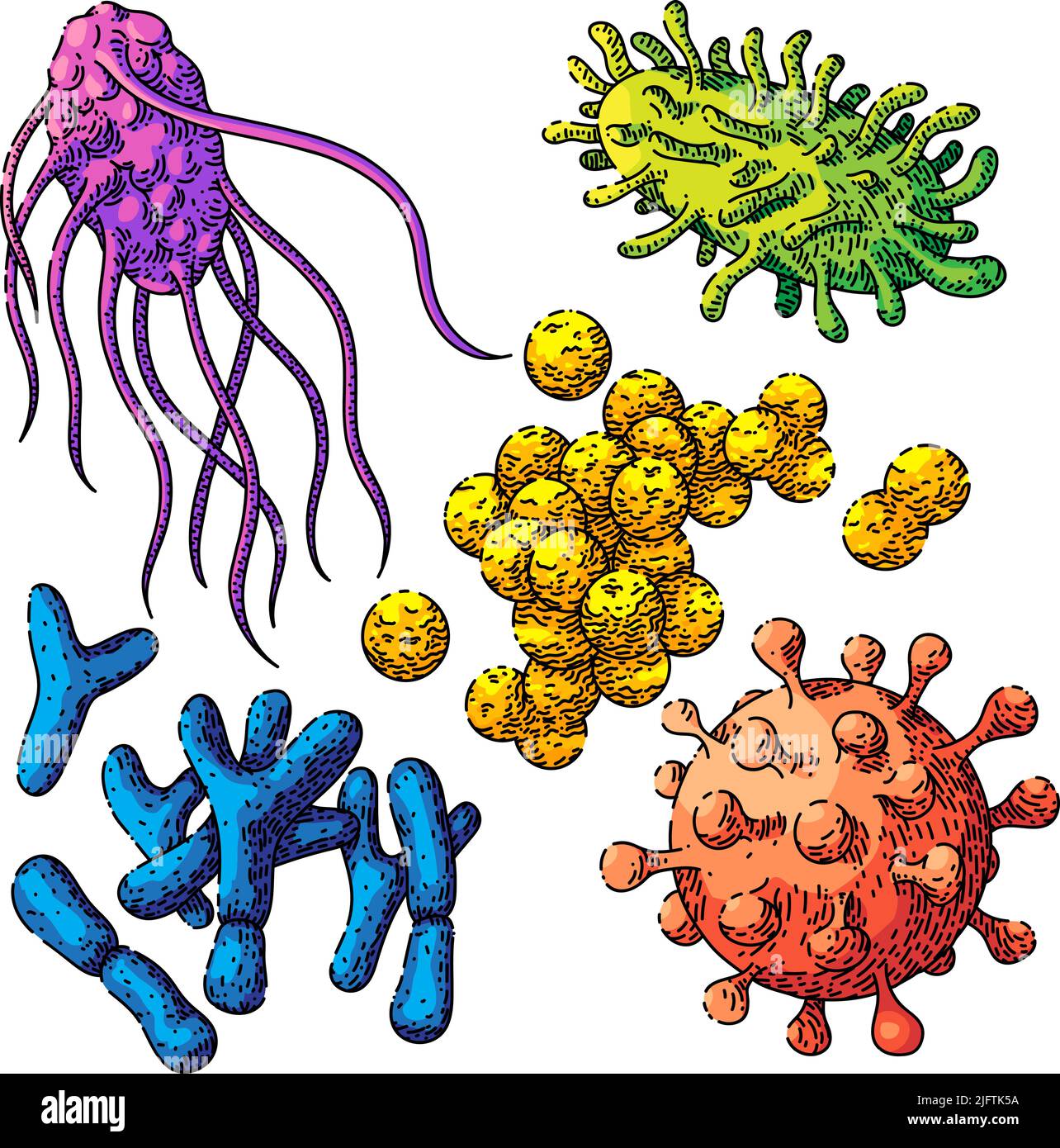 bacteria virus set sketch hand drawn vector Stock Vector Image & Art ...