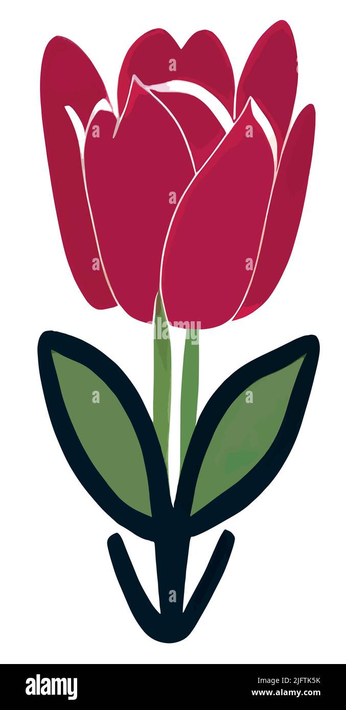 Crimson tulip Stock Vector Images - Alamy