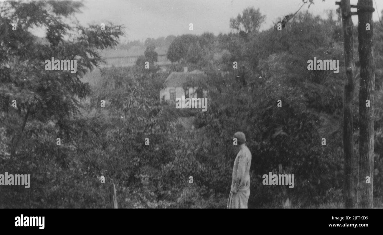 Afforestation Black and White Stock Photos & Images - Alamy