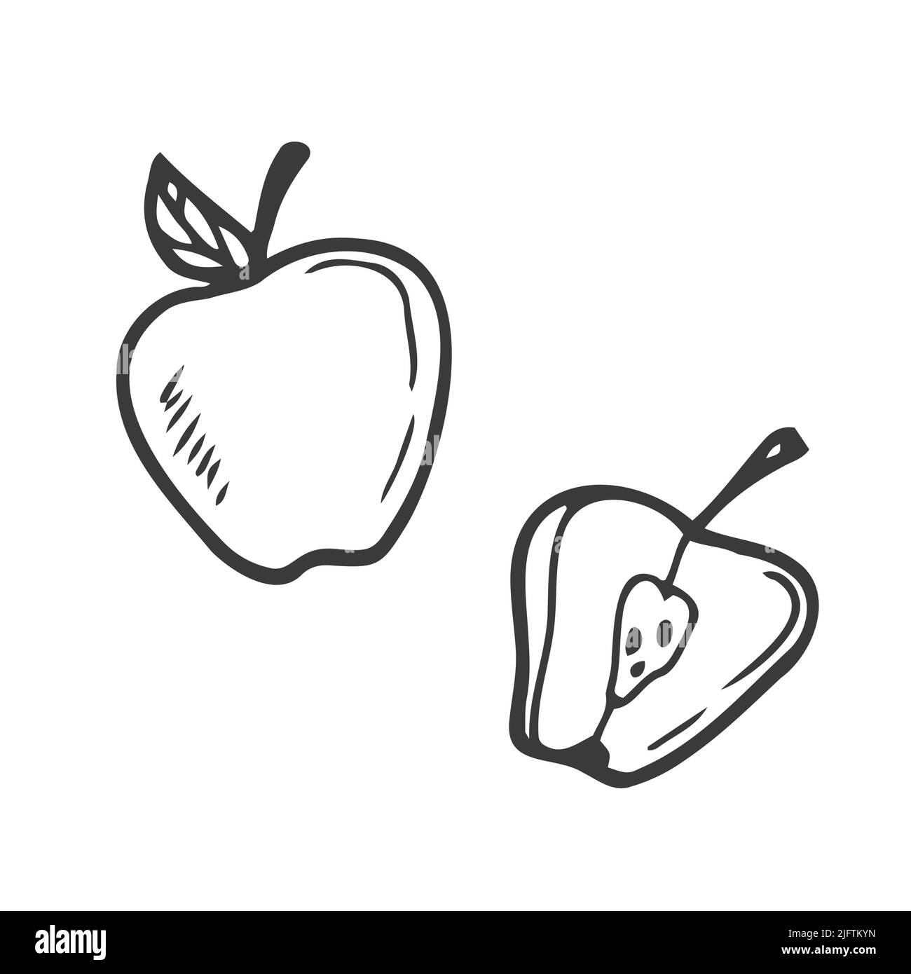 Apple slice and full apple. Black line fruits illustration set. Graphic ...