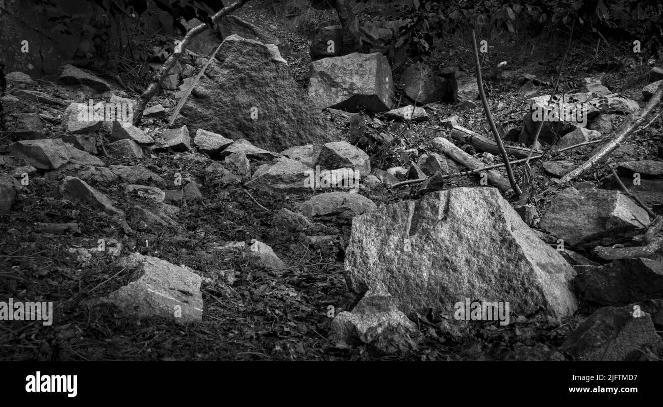 A beautiful shot of some huge rocks in a forest in grayscale Stock ...
