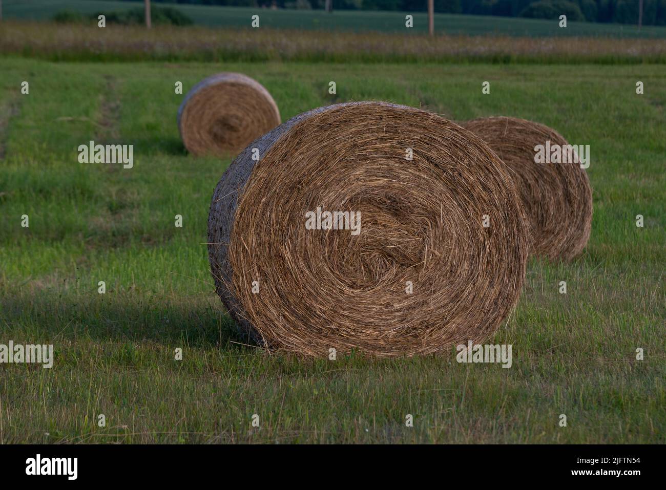 One hay roll in hi-res stock photography and images - Alamy