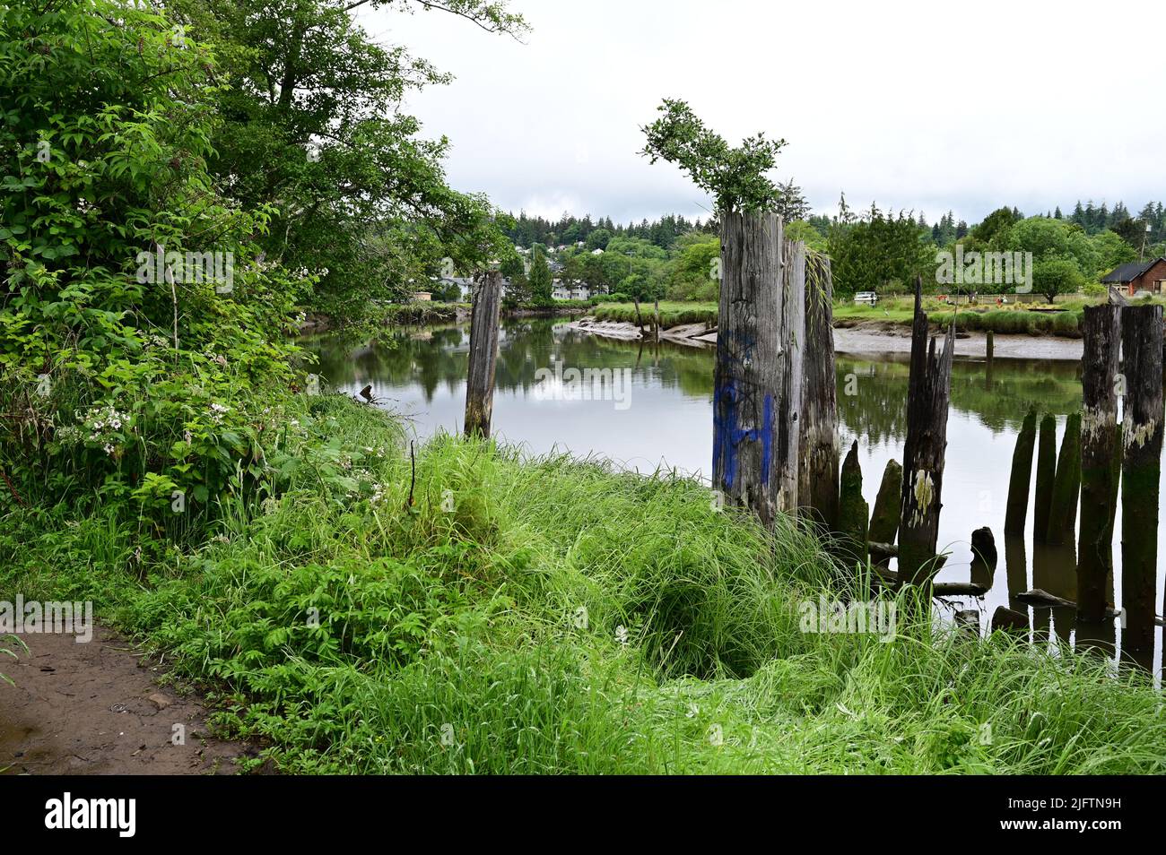 The Muddy banks of the Wishkah river in Aberdeen Stock Photo - Alamy