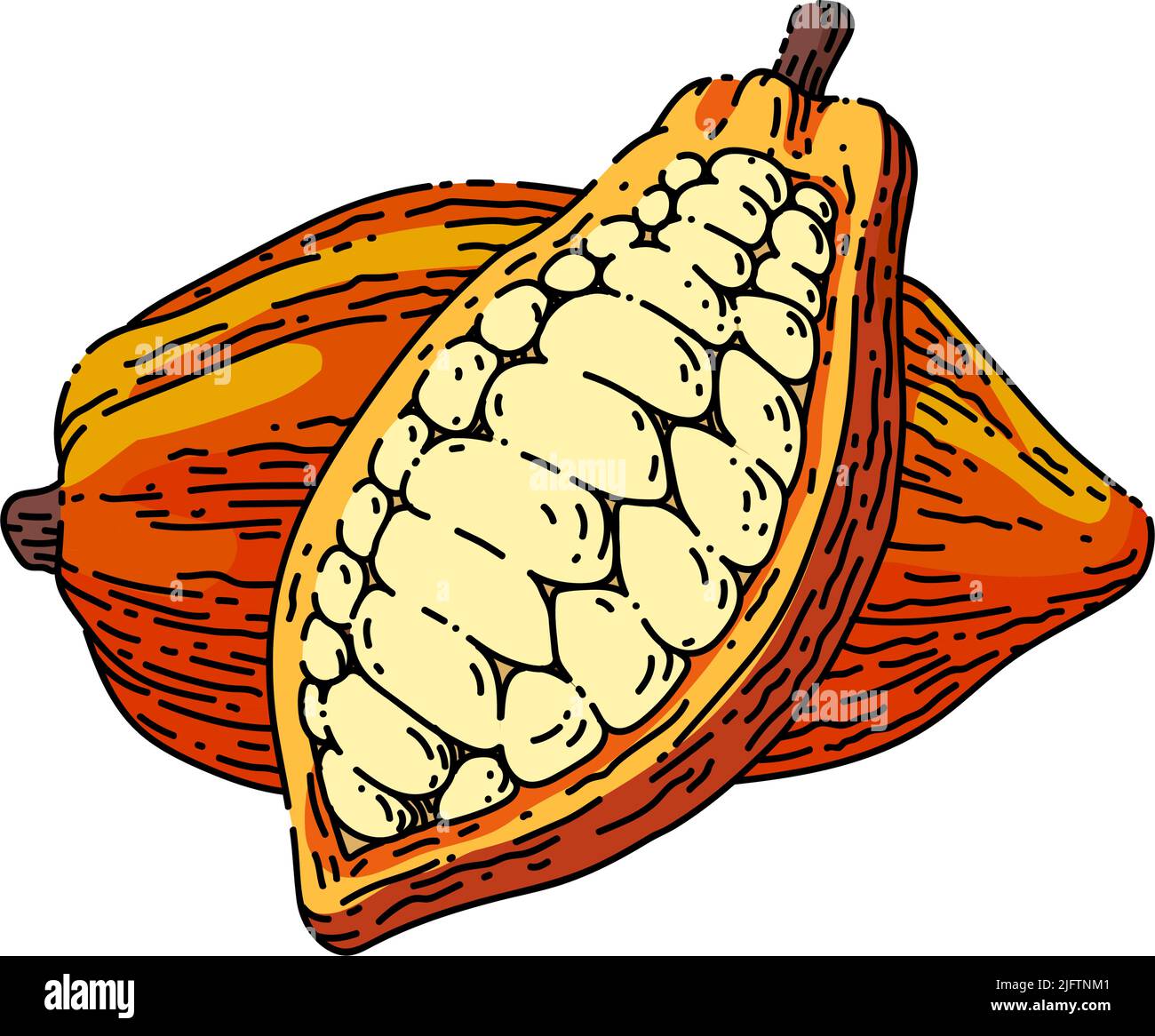 chocolate cocoa sketch hand drawn vector Stock Vector Image & Art - Alamy chocolate cocoa sketch hand drawn vector Stock Vector Image & Art - Alamy