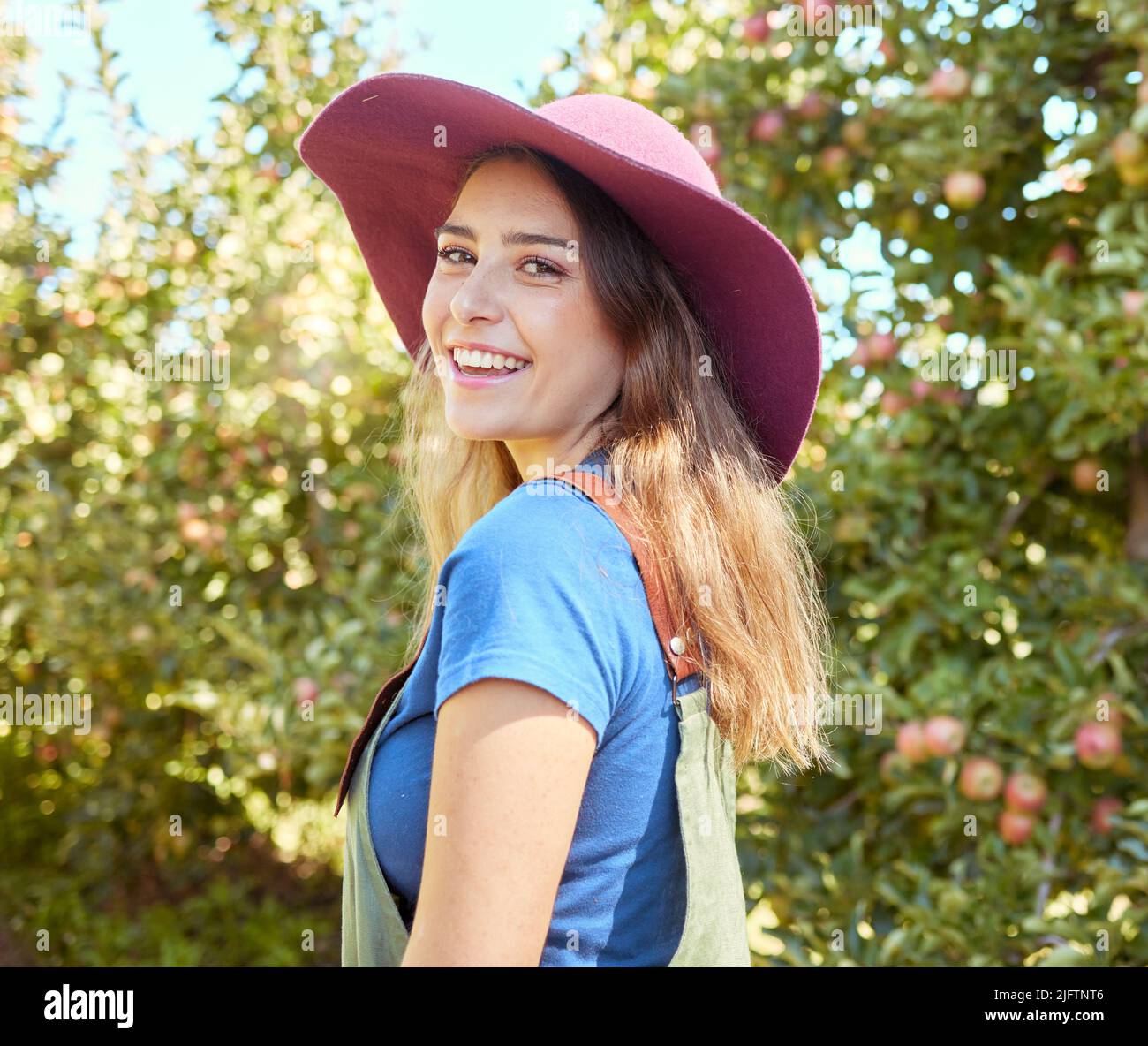 Standing apple tree hi-res stock photography and images - Alamy