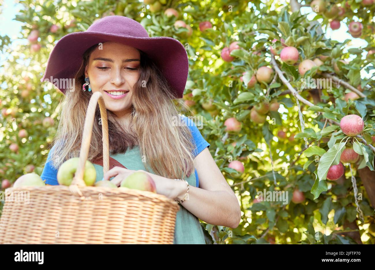 Sustainable harvesting hi-res stock photography and images - Alamy