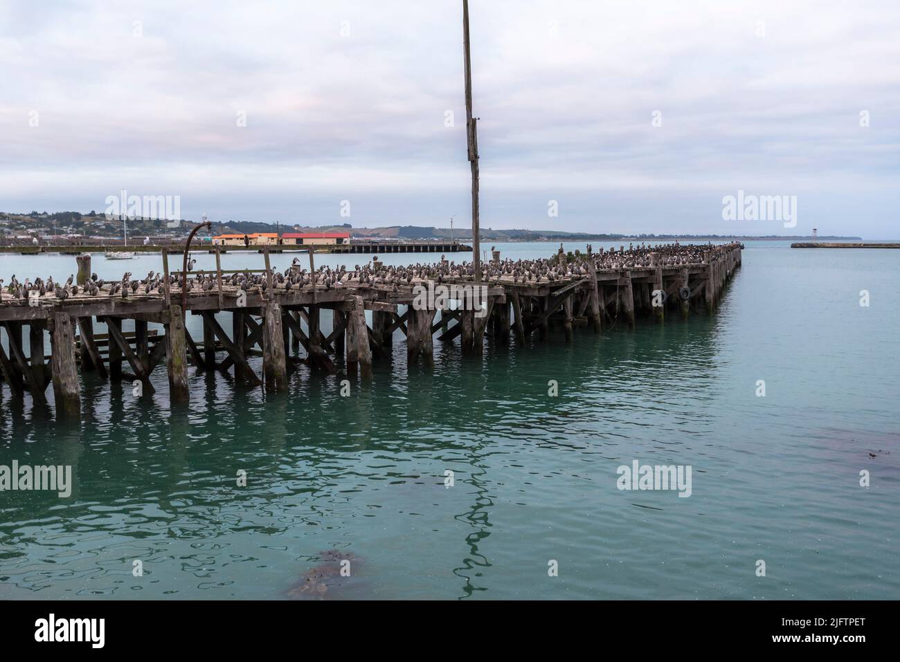 Oamaru pier hi-res stock photography and images - Alamy