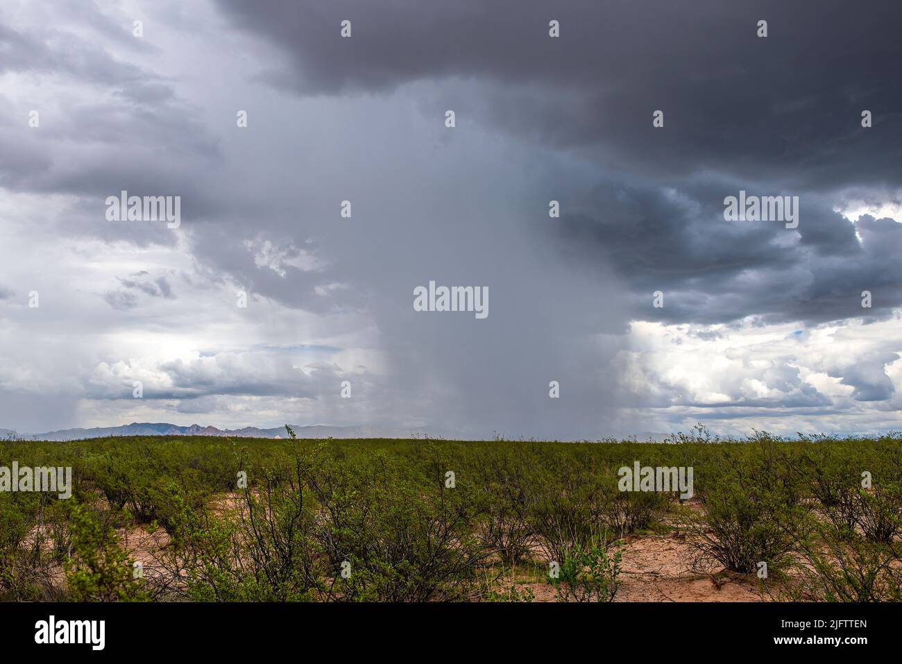 Monsoon Season in Southern Arizona Stock Photo - Alamy
