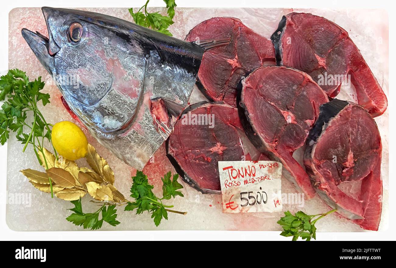 Red tuna fish hi-res stock photography and images - Alamy