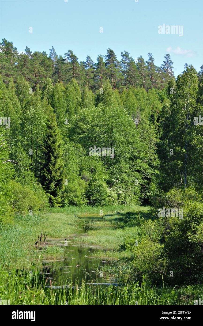 The beautiful nature of Latvia Stock Photo - Alamy