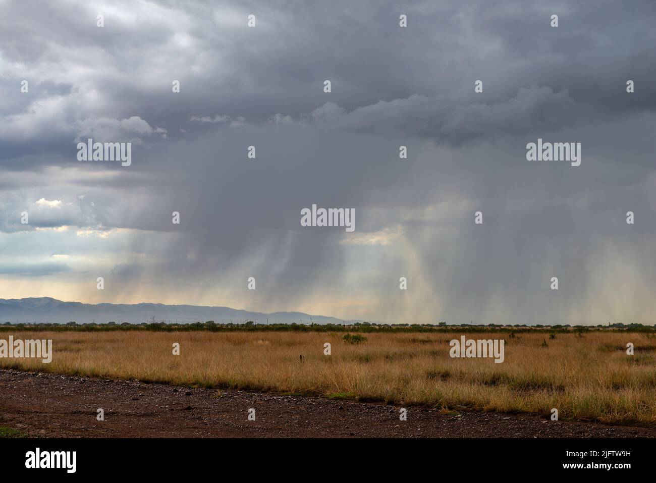 Monsoon Season in Southern Arizona Stock Photo - Alamy