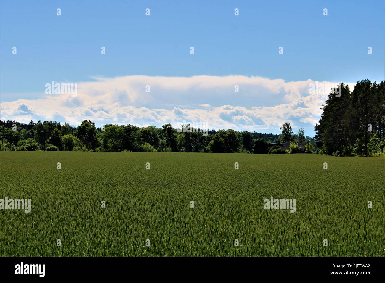 The beautiful nature of Latvia Stock Photo - Alamy