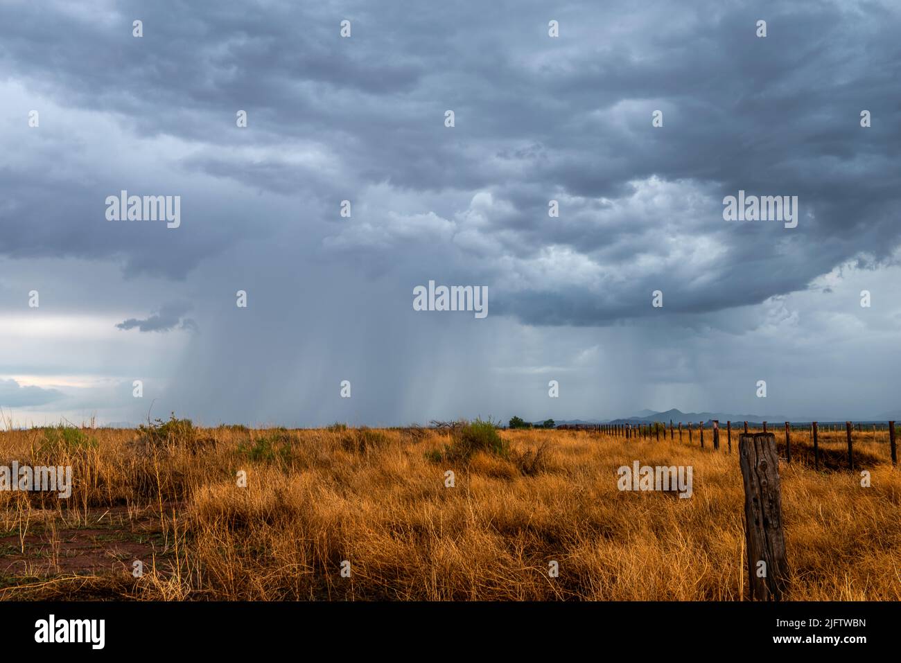 Monsoon Season in Southern Arizona Stock Photo - Alamy