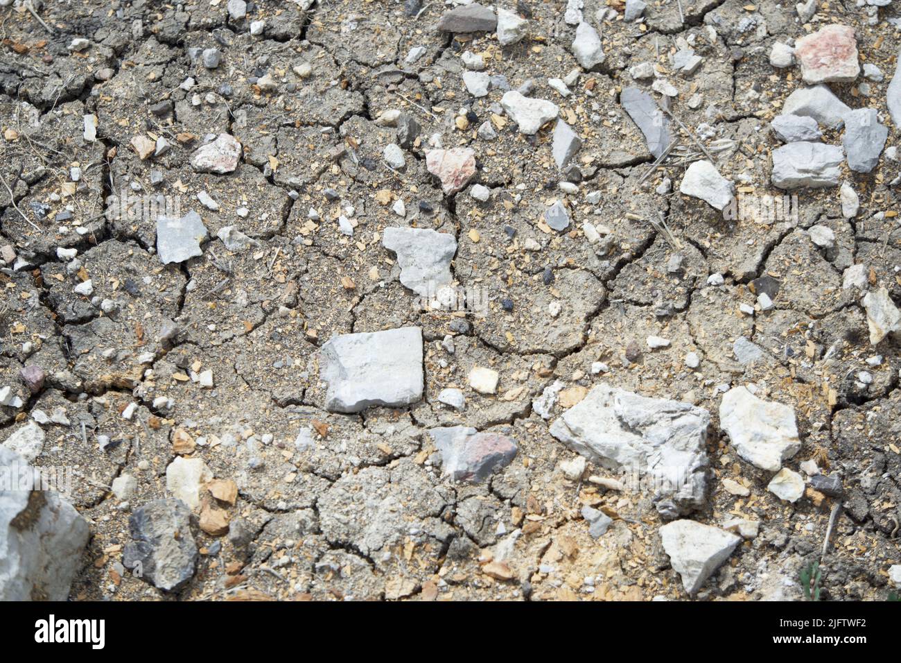 Texture of parched earth, cracked and with stones Stock Photo - Alamy