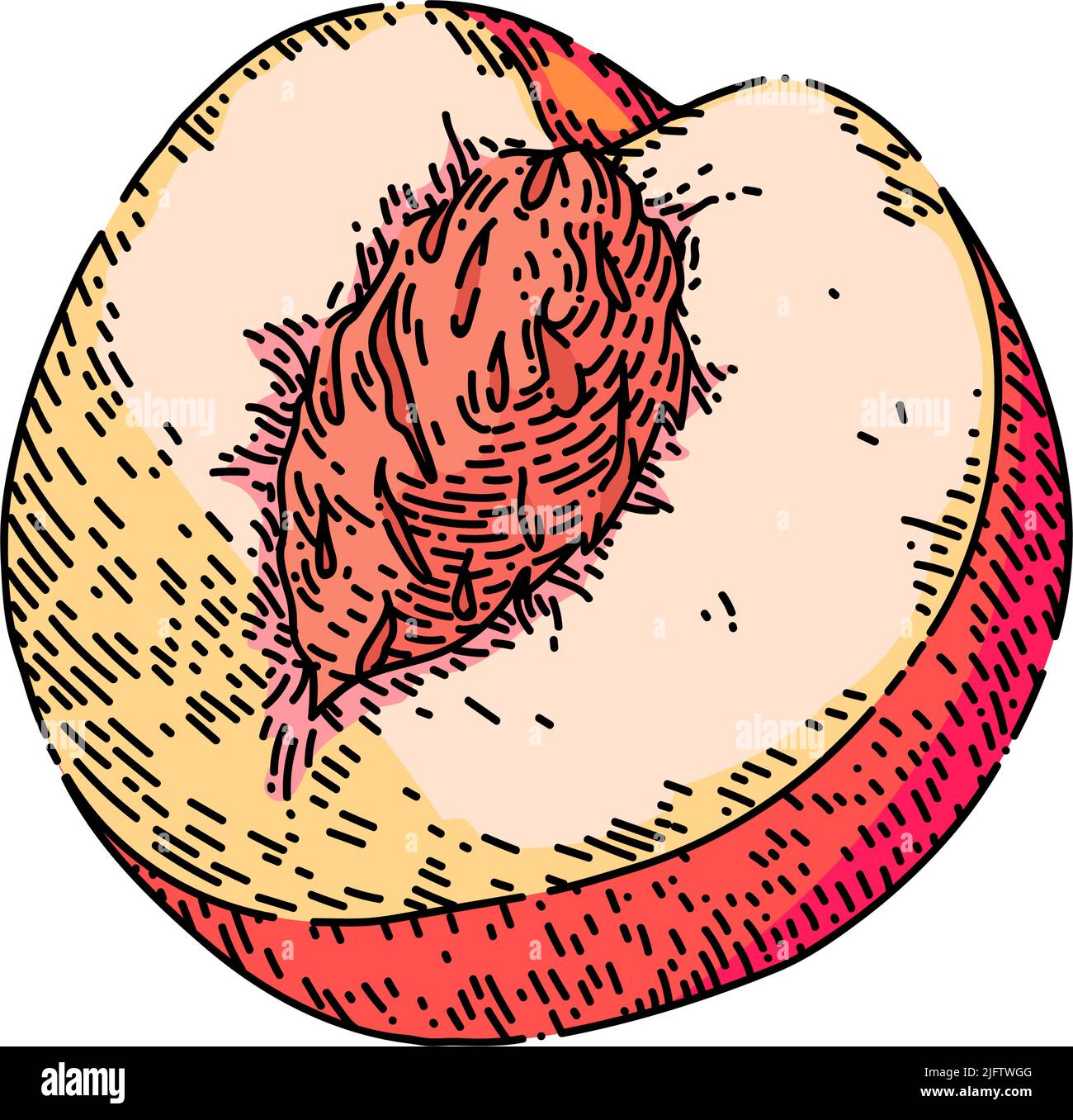 Peach slice cut line Cut Out Stock Images & Pictures - Alamy