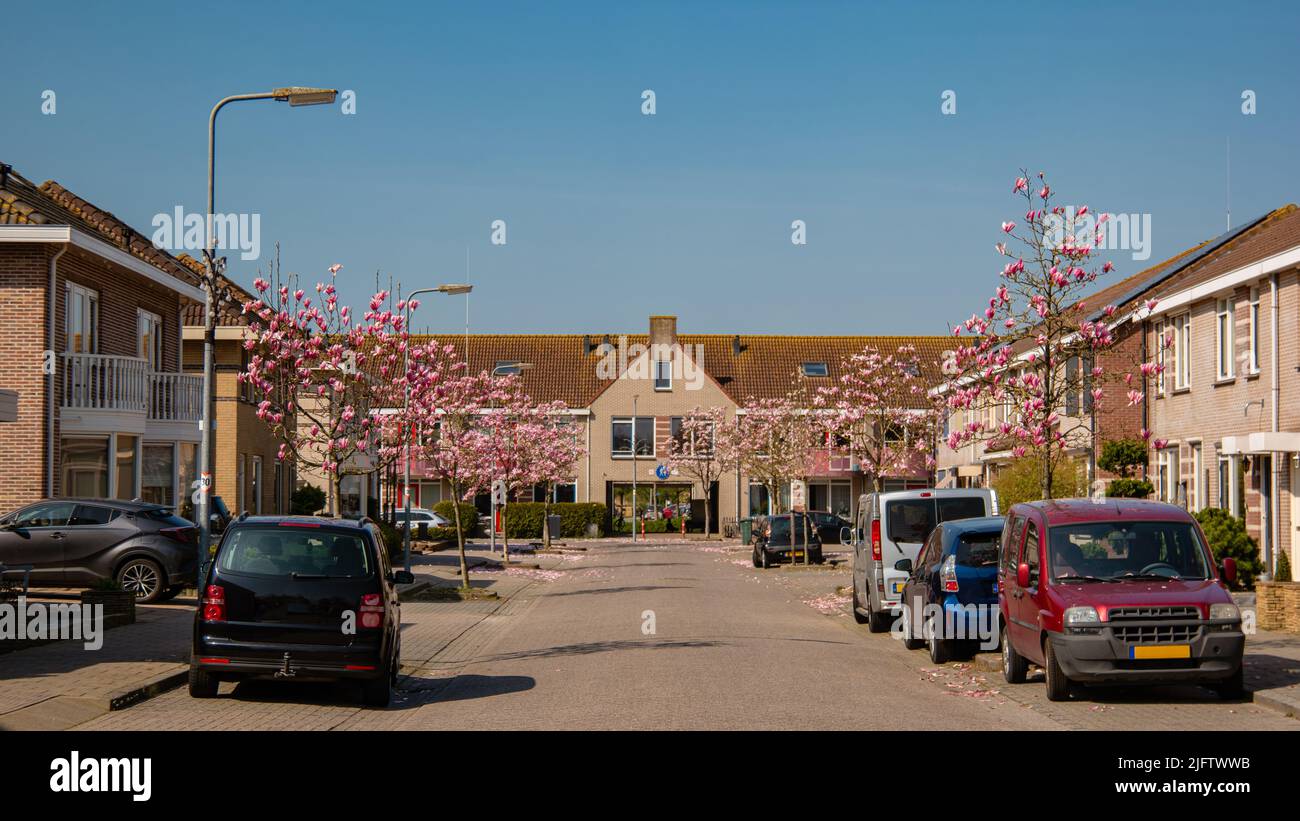 Dutch Suburban area with modern family houses, newly build modern ...
