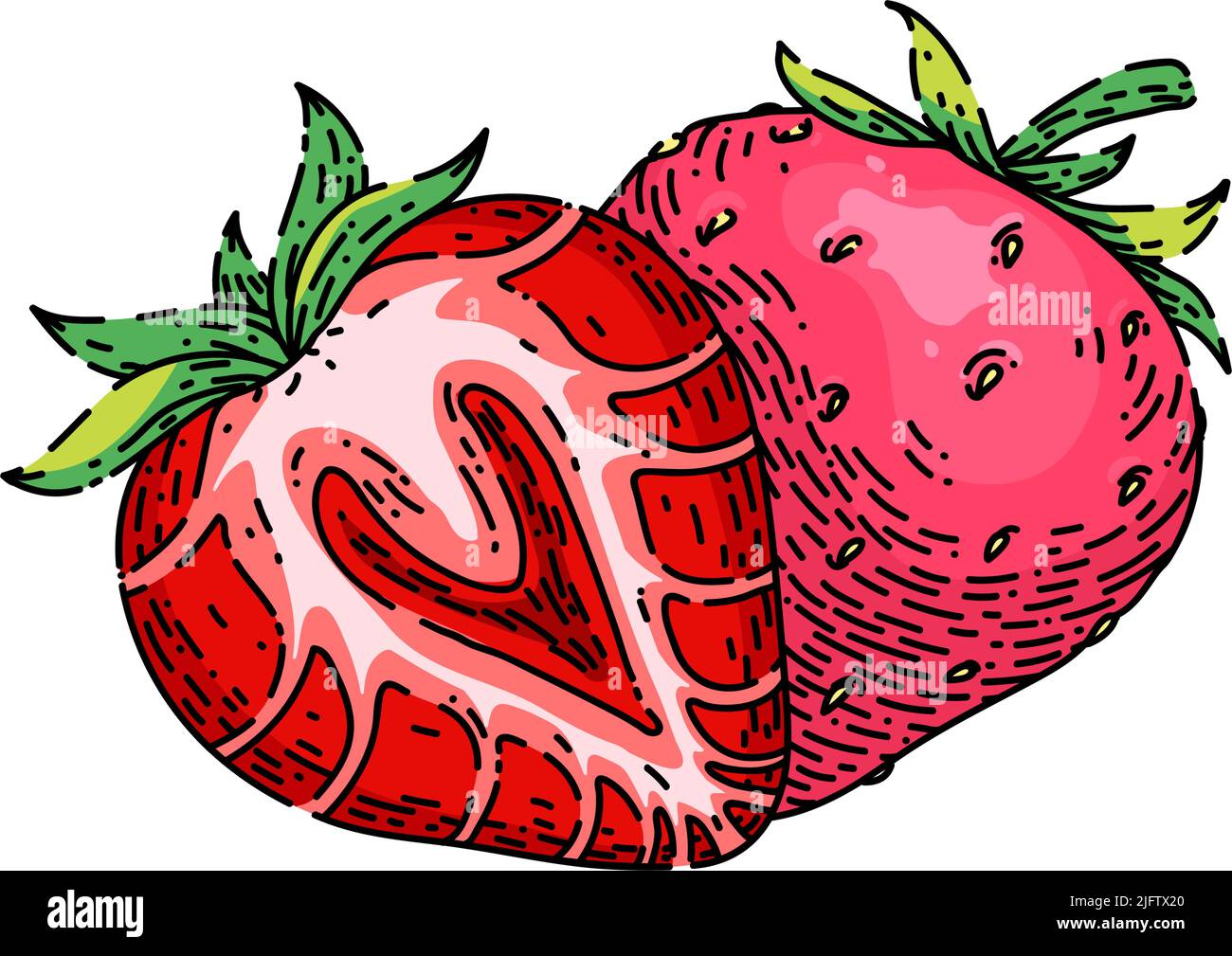 Strawberry whole half sketch hi-res stock photography and images - Alamy