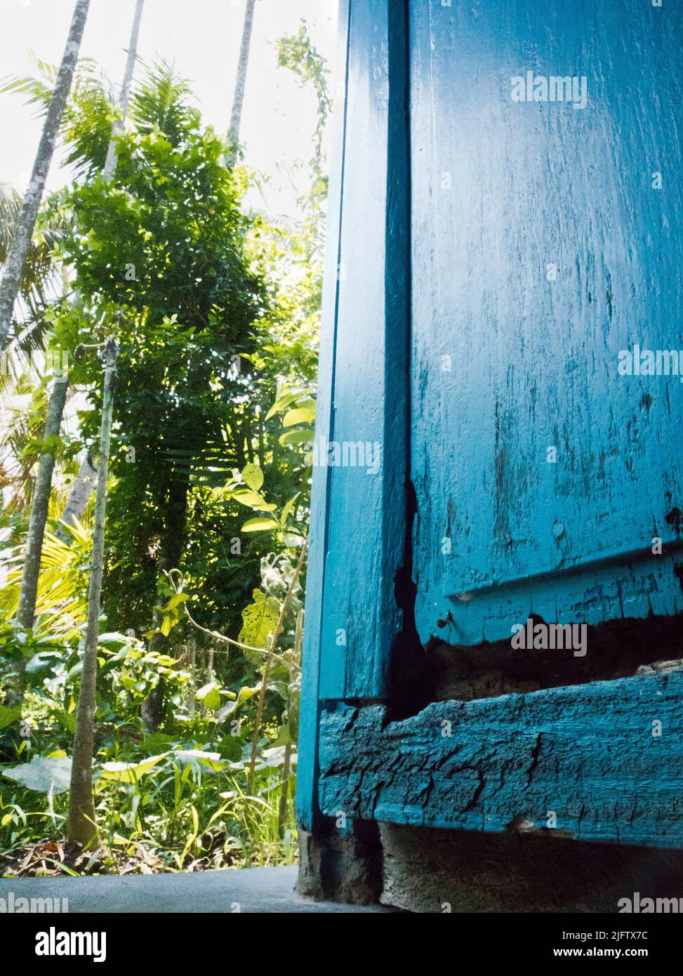 Photo of rotten wood of a door which is damaged by the rain water Stock ...