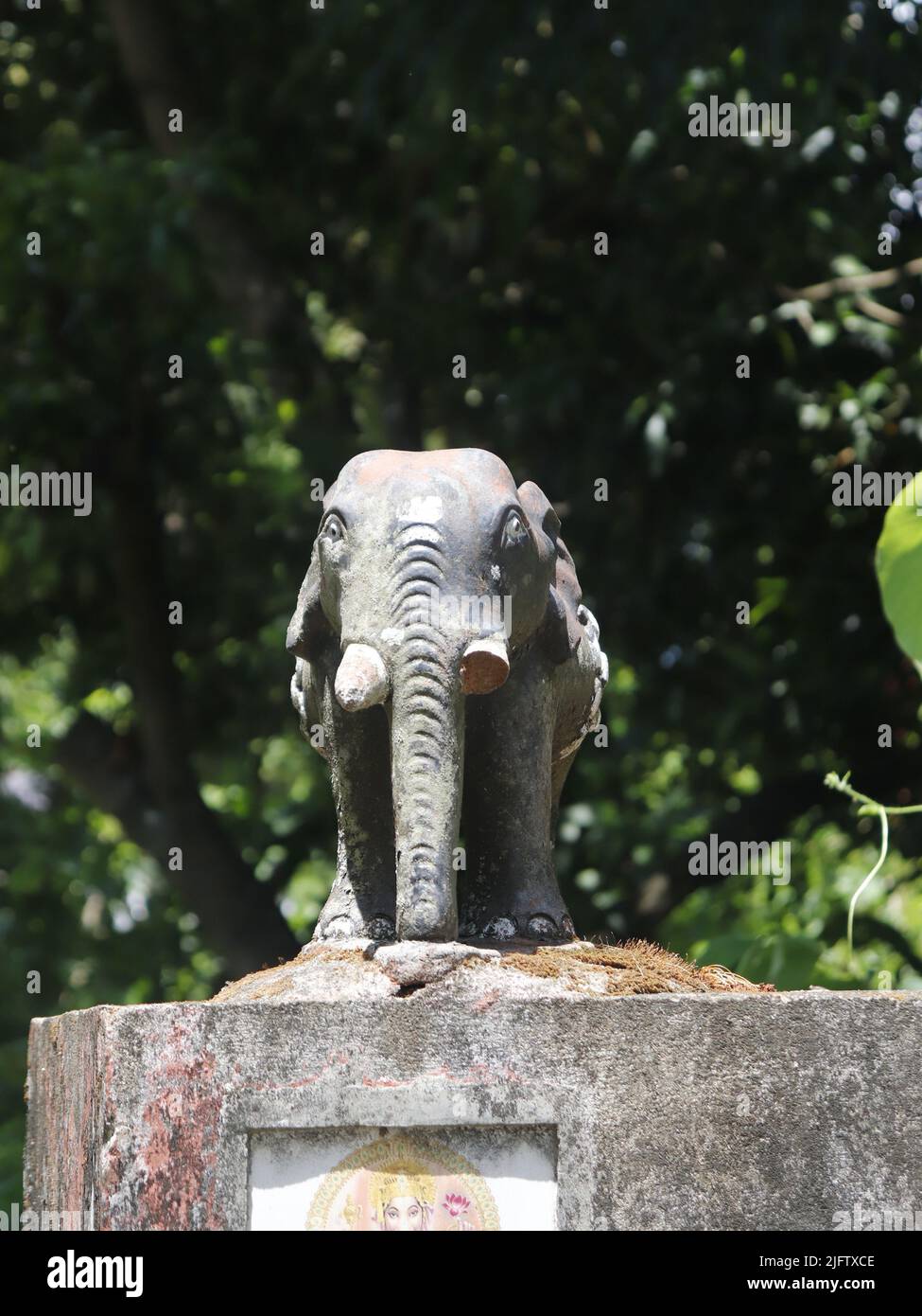 A elephant architecture in wall Stock Photo - Alamy