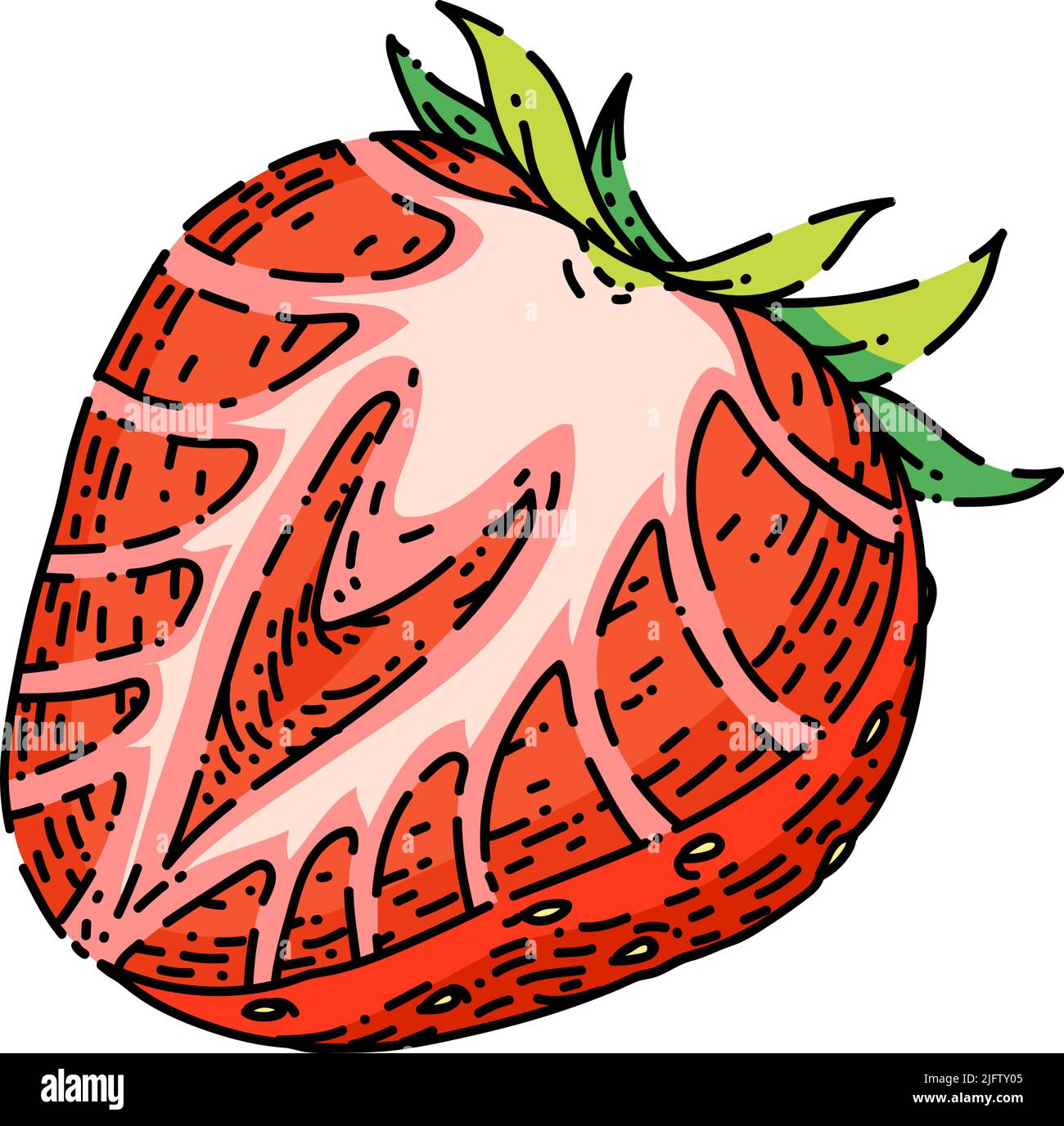 strawberry sketch hand drawn vector Stock Vector Image & Art - Alamy