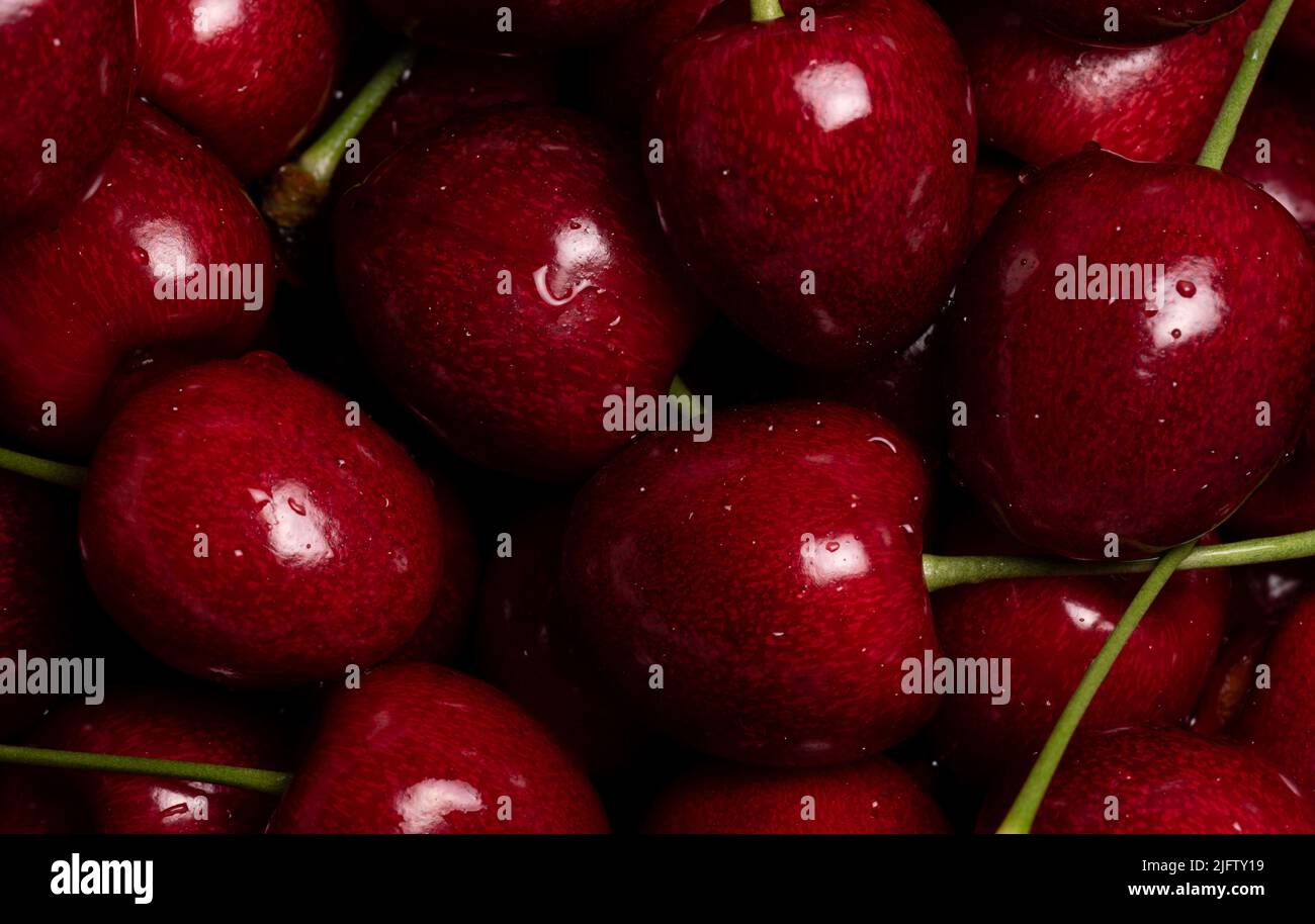 Red juicy sweet cherries. Juicy maroon fruit close-up. Cherries in ...