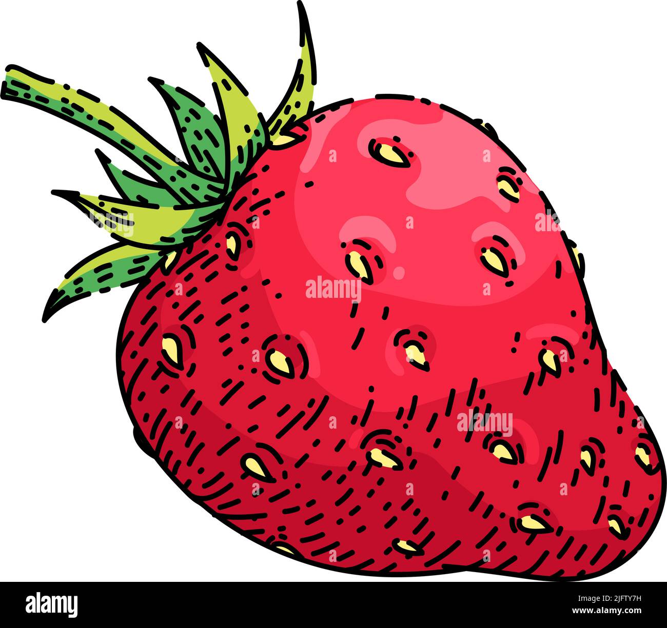 strawberry sketch hand drawn vector Stock Vector Image & Art - Alamy