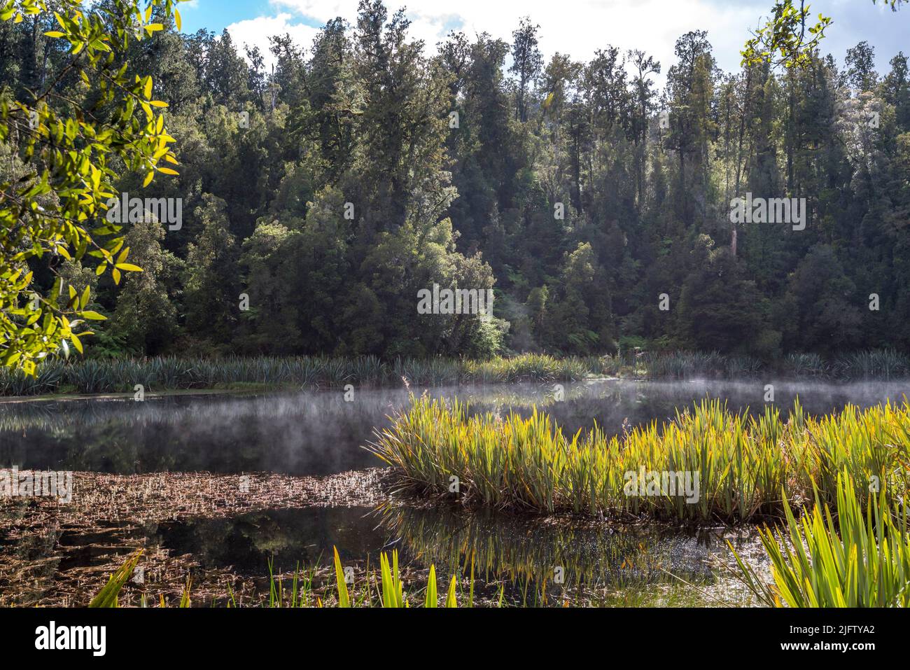 The misty shore of Lake Matheson Walk in South Island, New Zealand ...